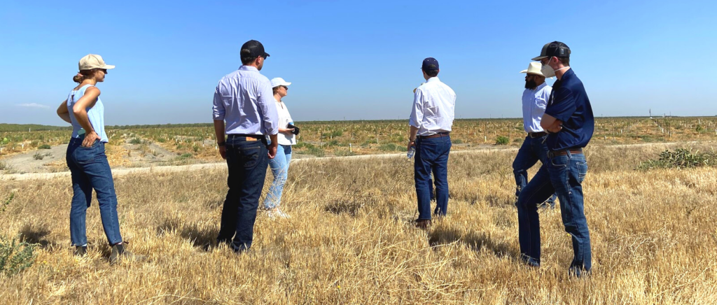 Multibenefit Land Repurposing - CivicWell